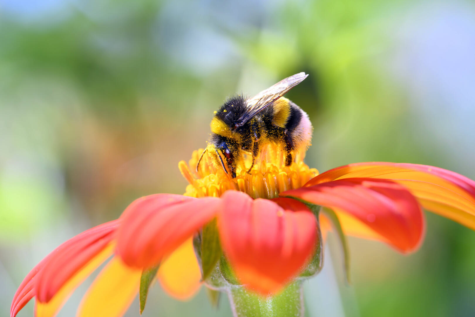 GSSB: GRI 304 „Biodiversität“ - Betriebs-Berater